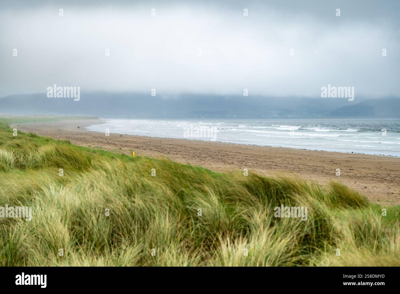 Inch beach, wonderful 5km long stretch of glorious sand and dunes ...
