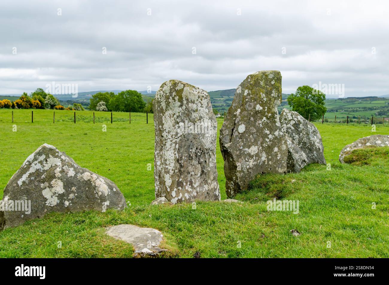 Beltany stone circle, an impressive Bronze Age ritual site located to ...