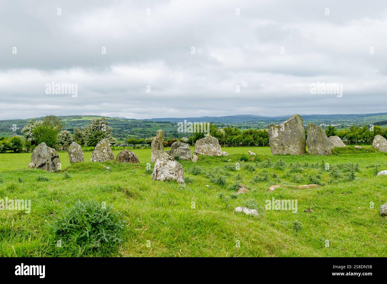 Beltany stone circle, an impressive Bronze Age ritual site located to ...