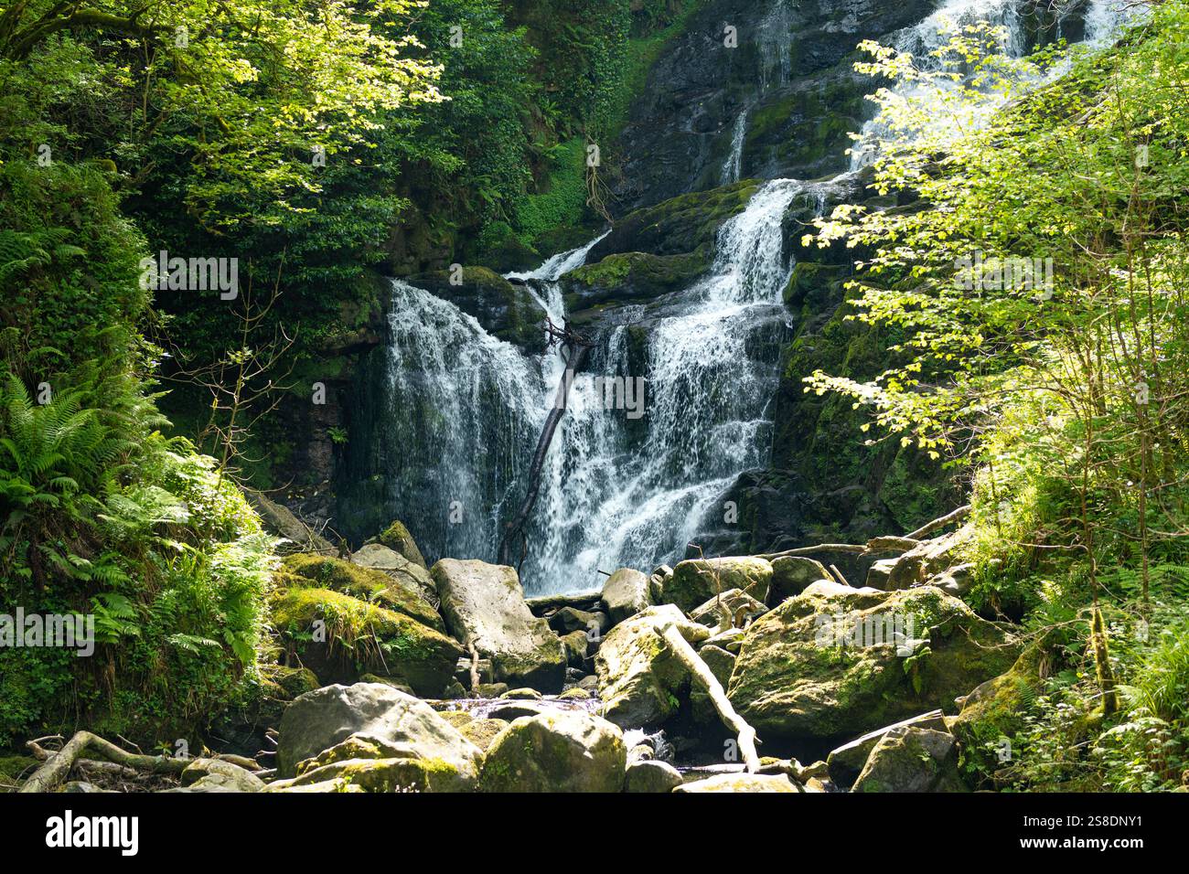 Torc Waterfall, one of most well known tourist attractions in Ireland ...