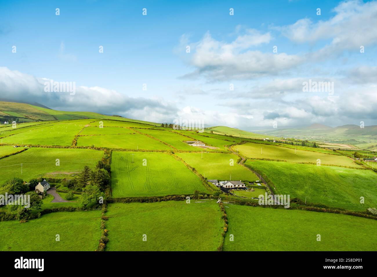 Aerial view of endless lush pastures and farmlands of Ireland's Dingle ...