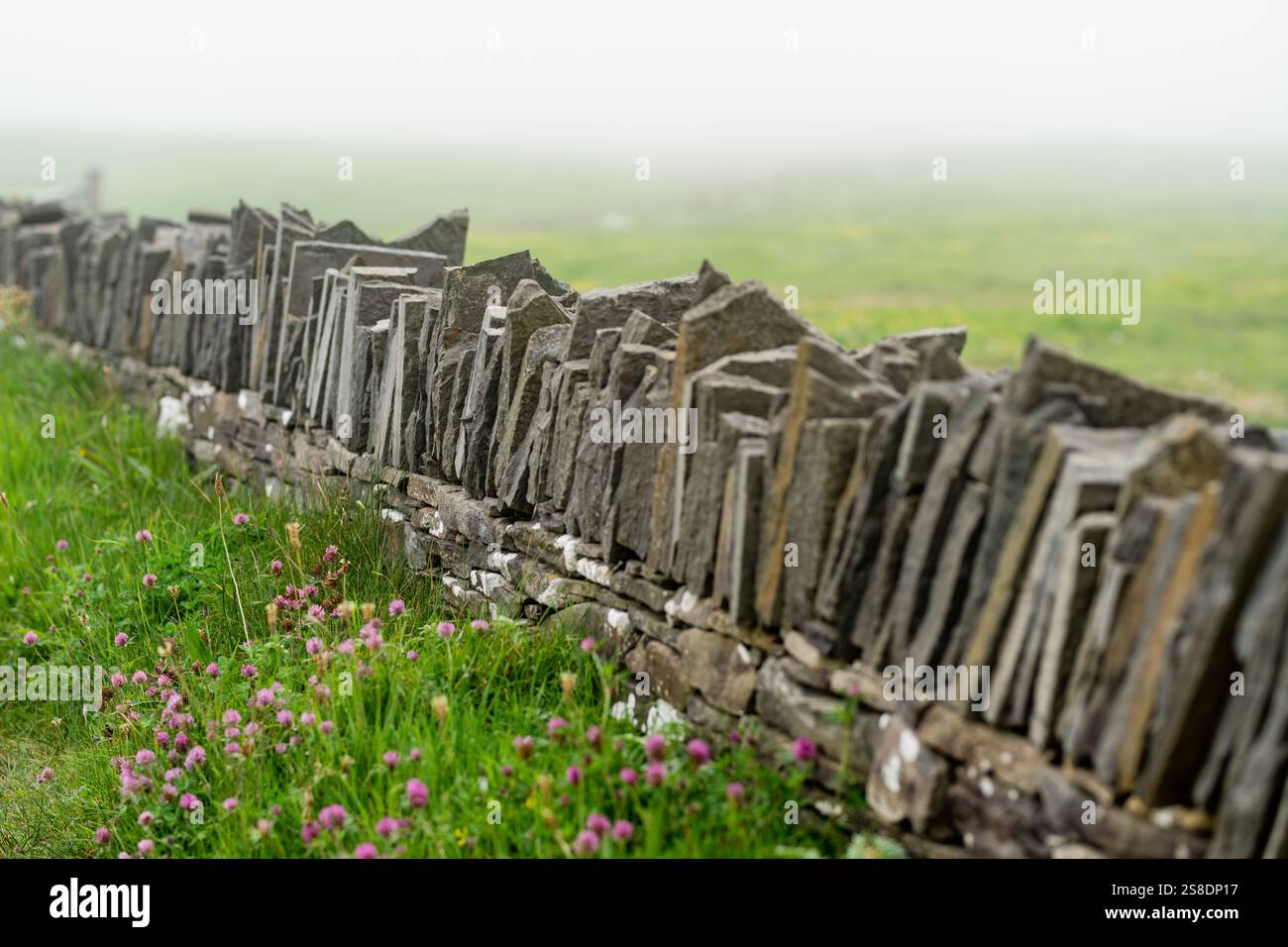 Famous Irish dry-stone wall, built with a variety of stones to separate ...