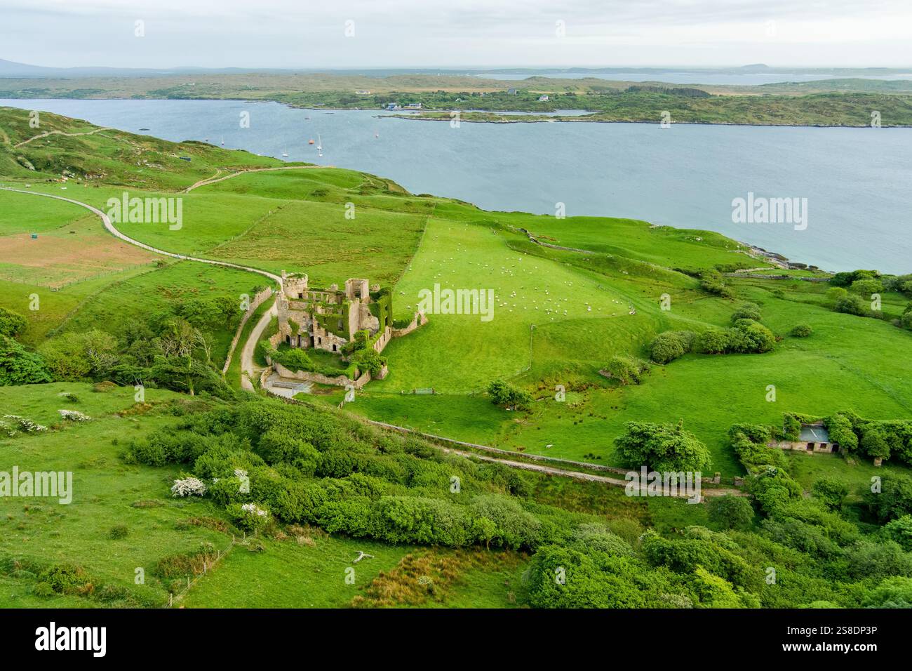 Aerial view of Clifden Castle, ruined manor house, standing on famous ...