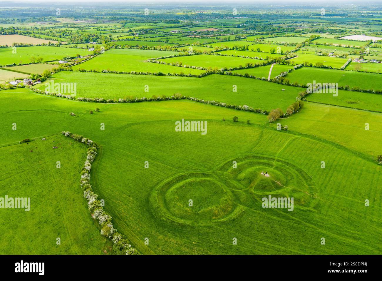 Aerial view of the Hill of Tara, an archaeological complex, containing ...