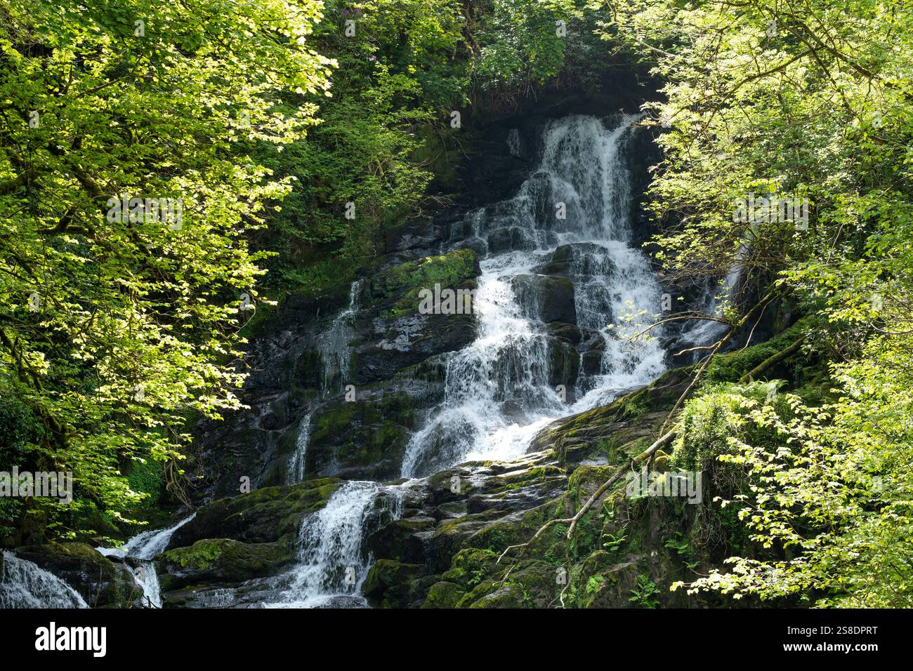 Torc Waterfall, one of most well known tourist attractions in Ireland ...