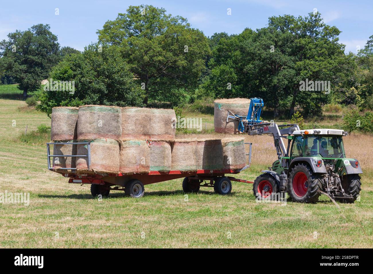 Farmer loading circular hay bales onto a farm trailer in a spring ...