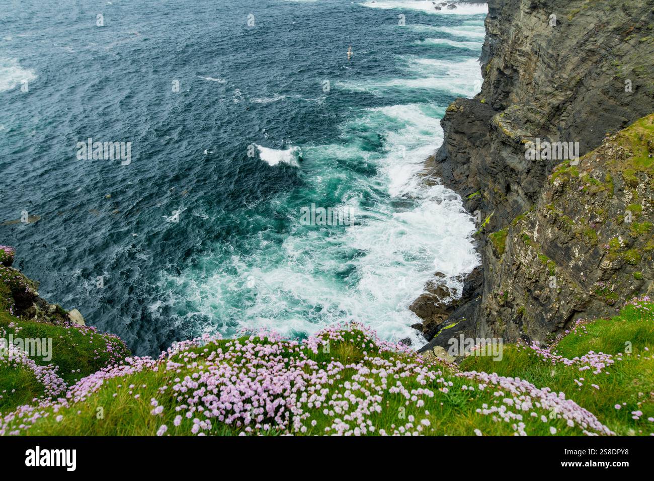 Spectacular Kilkee Cliffs, situated at the Loop Head Peninsula, remote ...