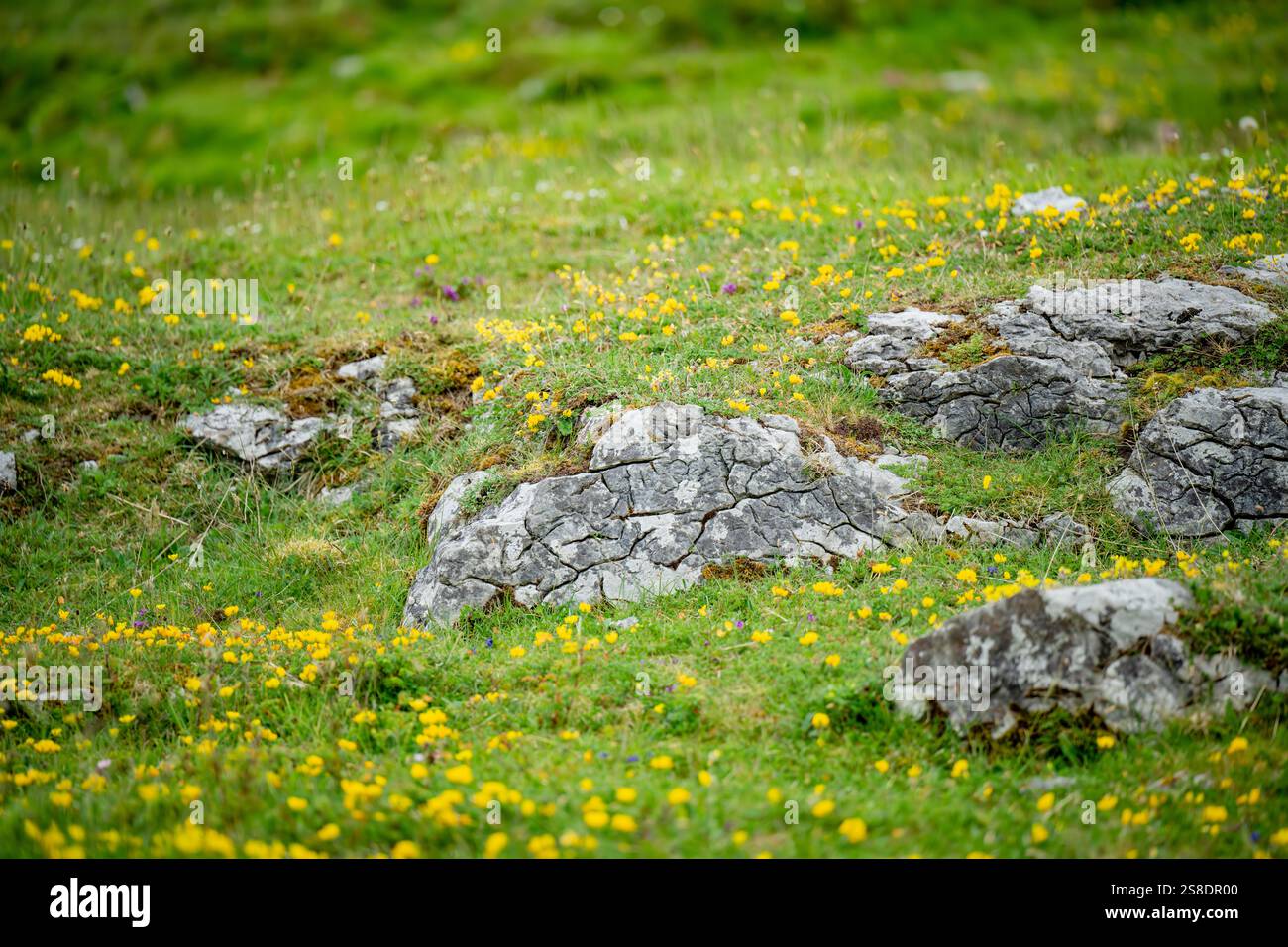 Spectacular misty landscape in the Burren region of County Clare ...