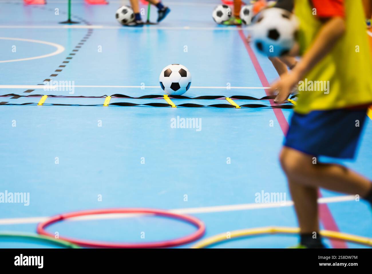 Indoor soccer training class for children. Physical education class for ...