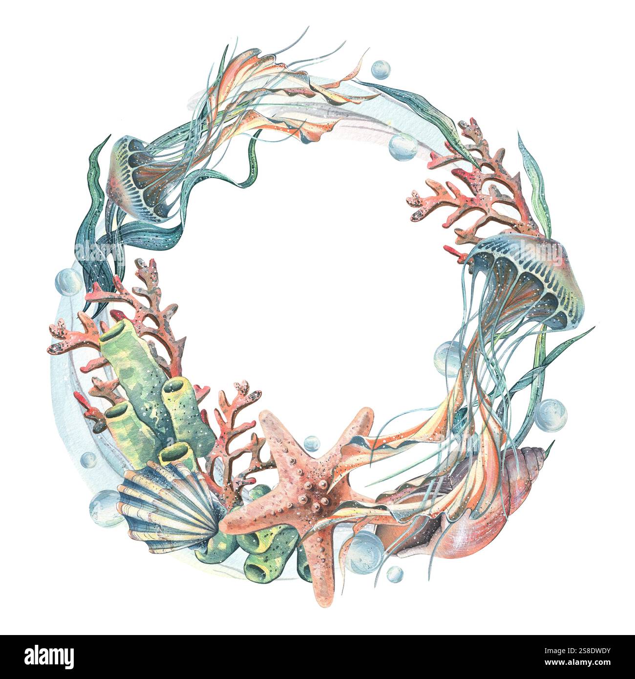Seashell and bubbles Cut Out Stock Images & Pictures - Alamy