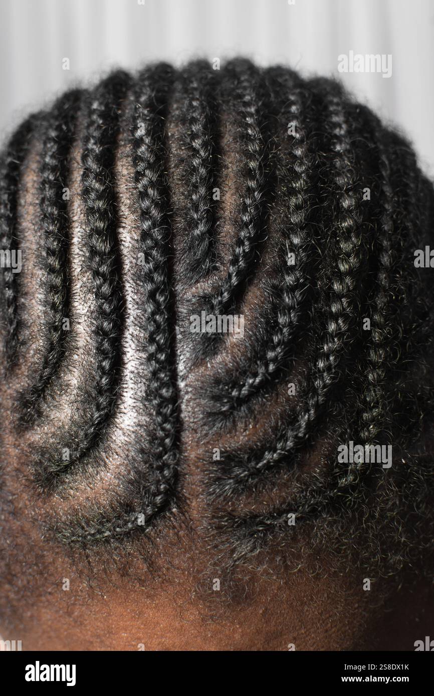 Brown skin woman with cornrows, cornrow braids on brown skin, african ...