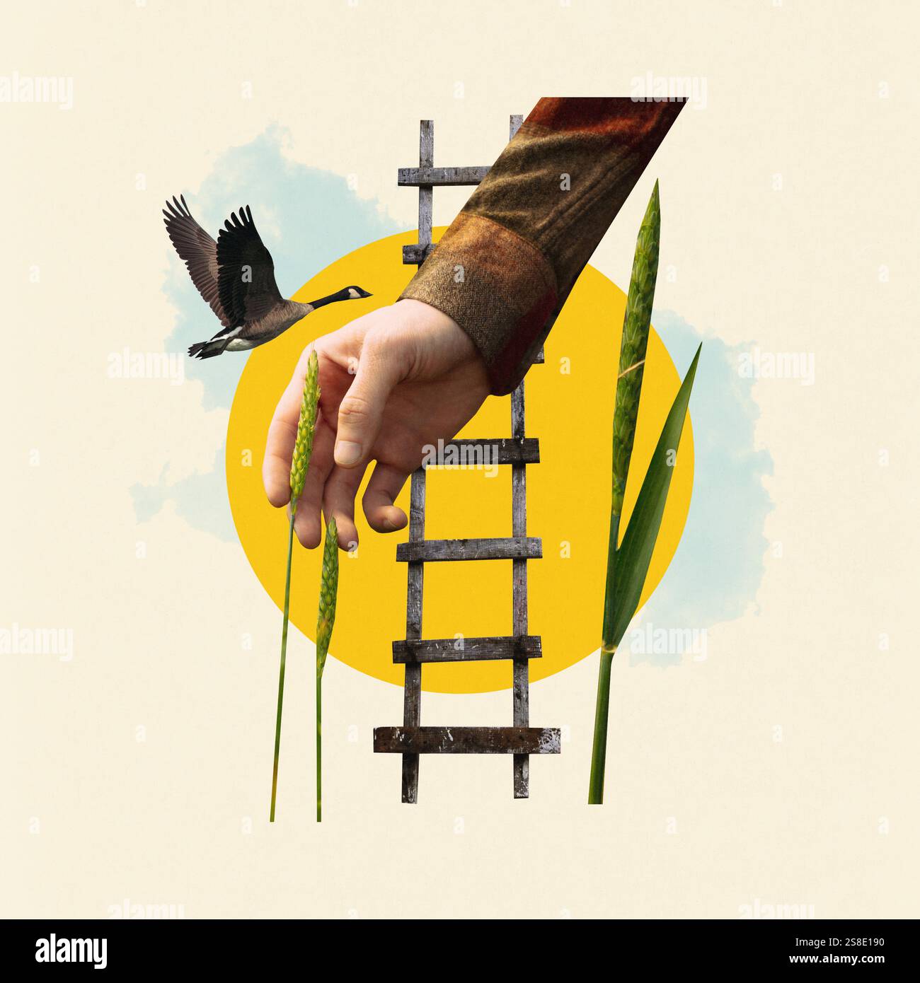 Artistic collage. Hand holding wheat stalks, ladder, and flying goose ...