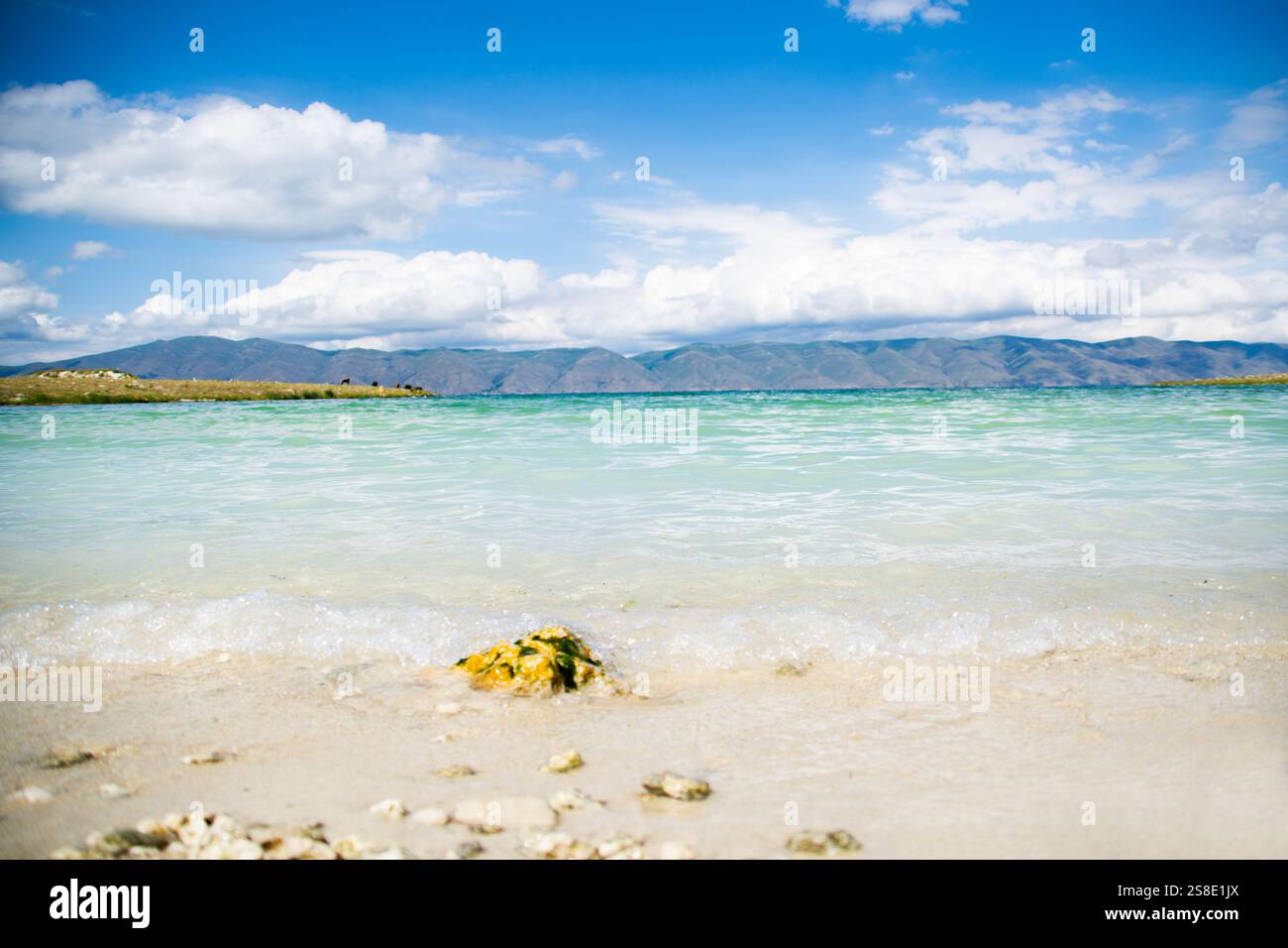 Sandy beach. Seaside vacation, golden beaches. Blue waters of the sea ...