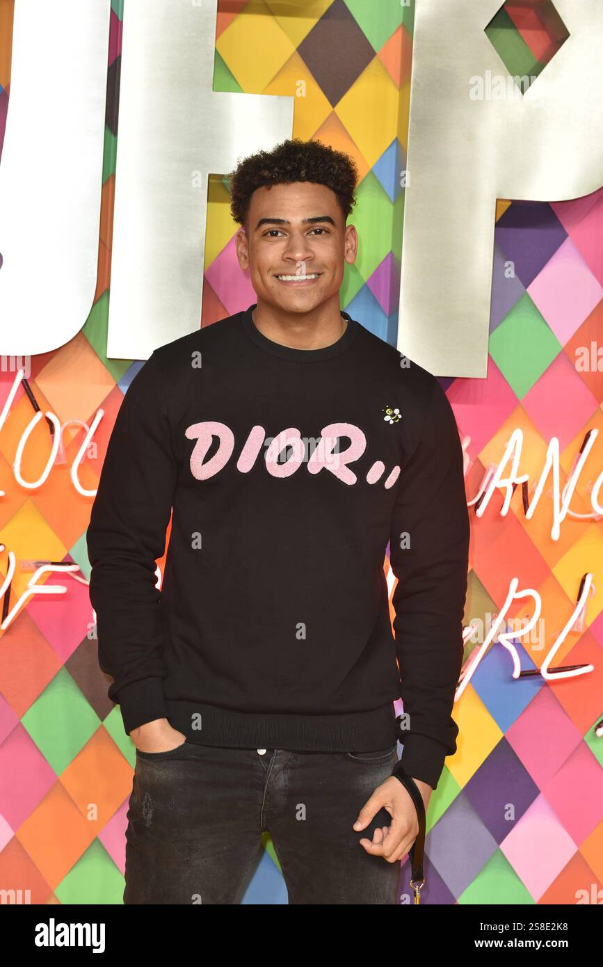 Jordan Hames attends the "Birds of Prey: And the Fantabulous ...