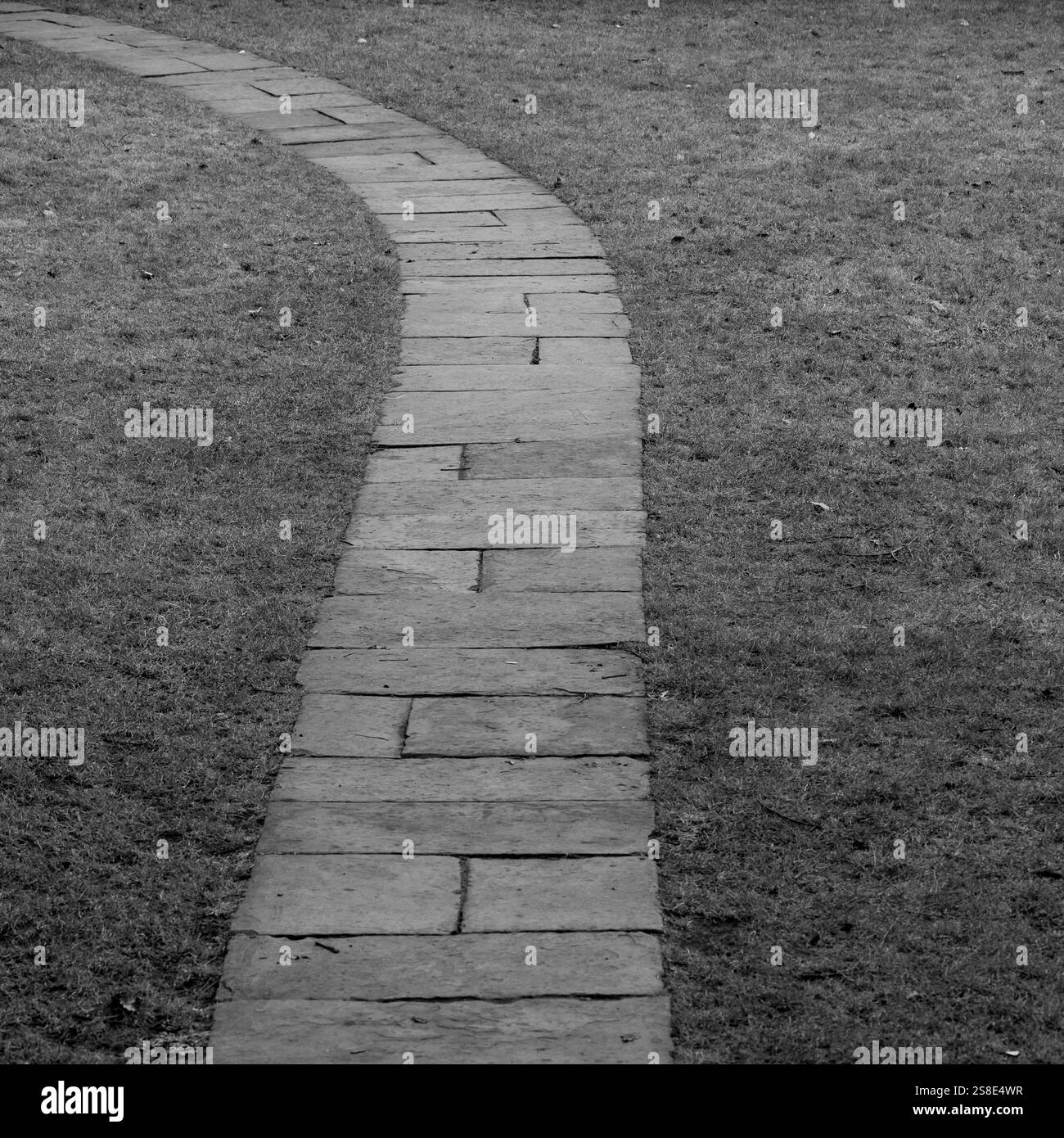 A curved pathway through a lawn, square, black and white Stock Photo ...