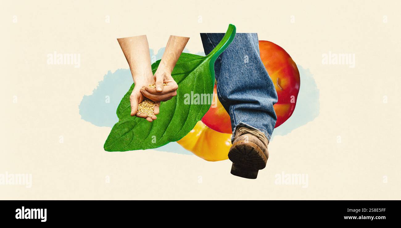 Abstract collage. Hand planting seeds into green leaves, paired with ...