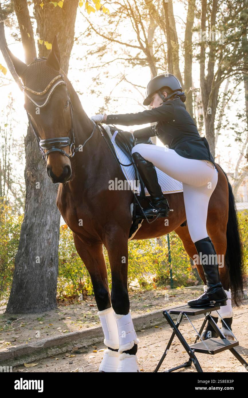 A teenage girl dressed in classical dressage attire mounts a dark brown ...
