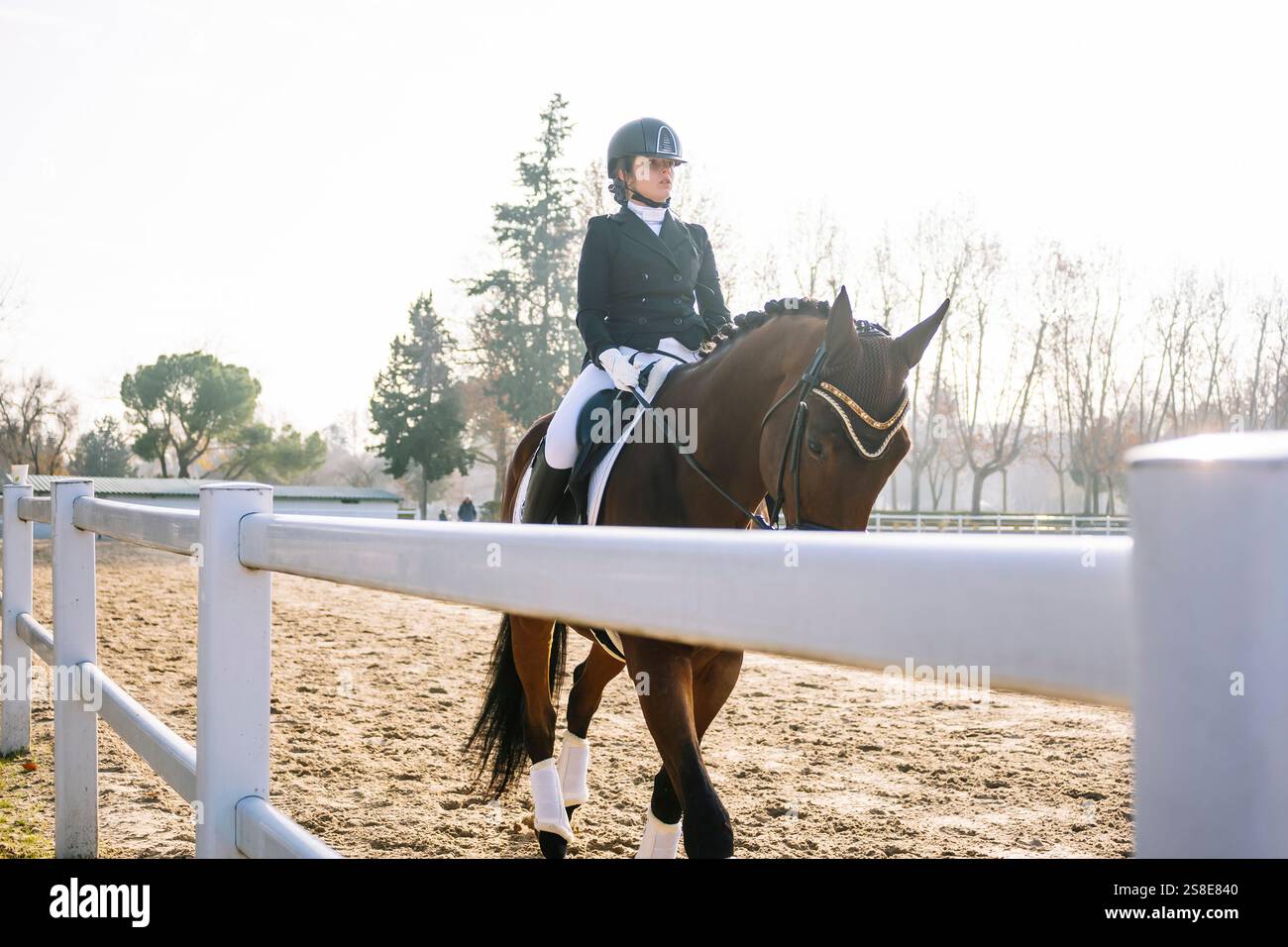 A teenage girl dressed in classical dressage attire trains on a brown ...