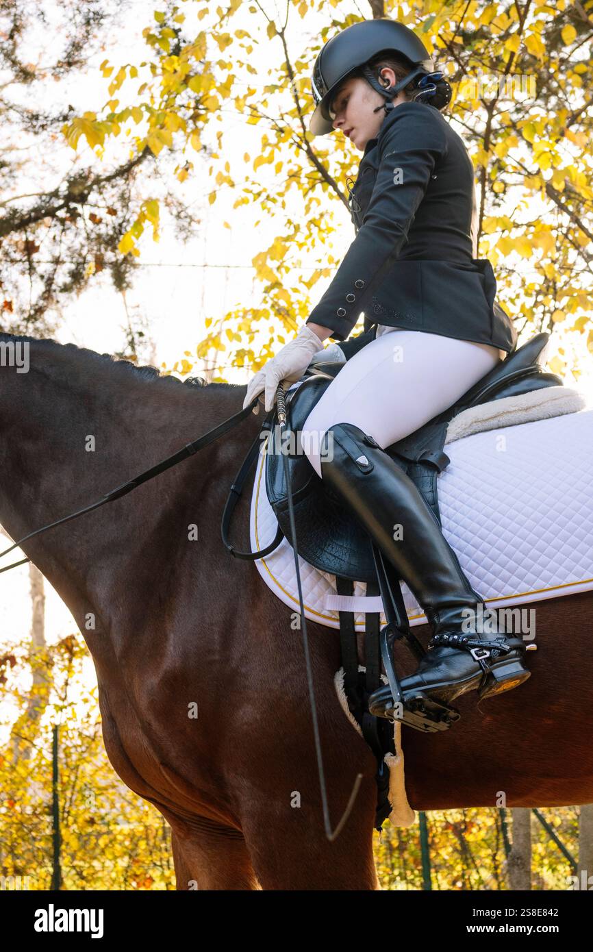 A teenage girl, dressed in traditional equestrian attire, rides a dark ...