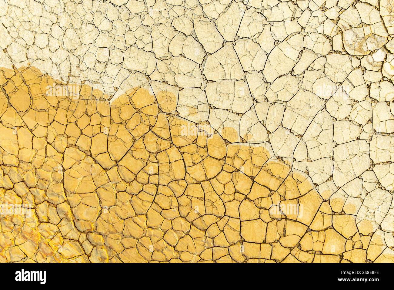 Close-up view of a dry, cracked surface shimmering with golden mud ...