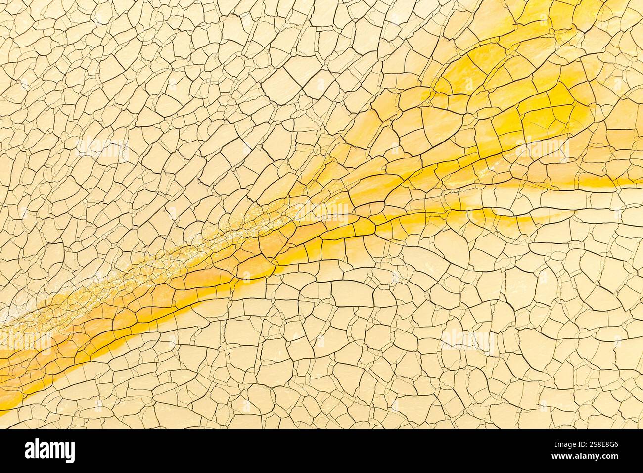 This image showcases a detailed view of cracked soil with a striking ...