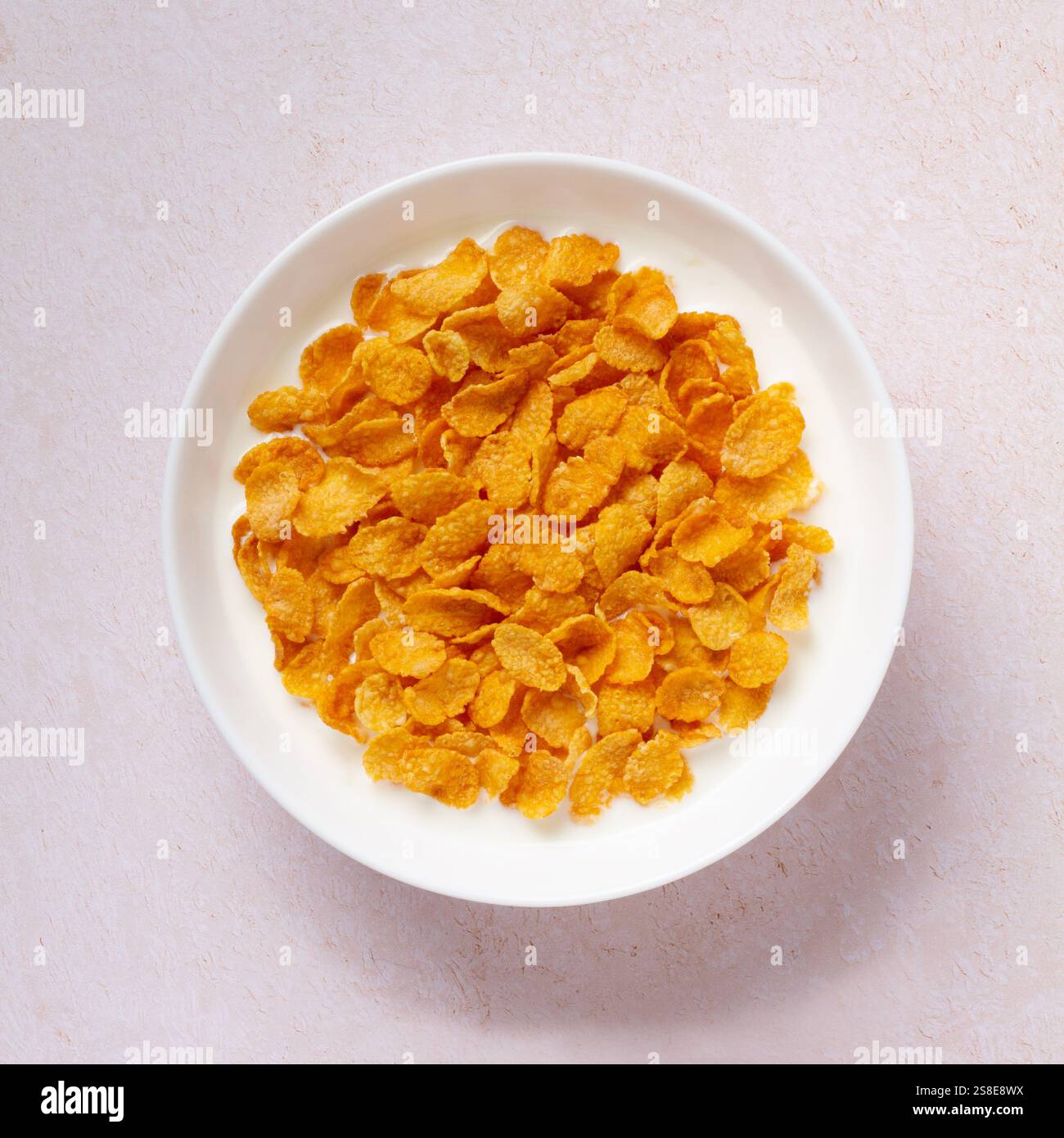 Top view of a white bowl full of crunchy golden cornflakes, isolated on ...