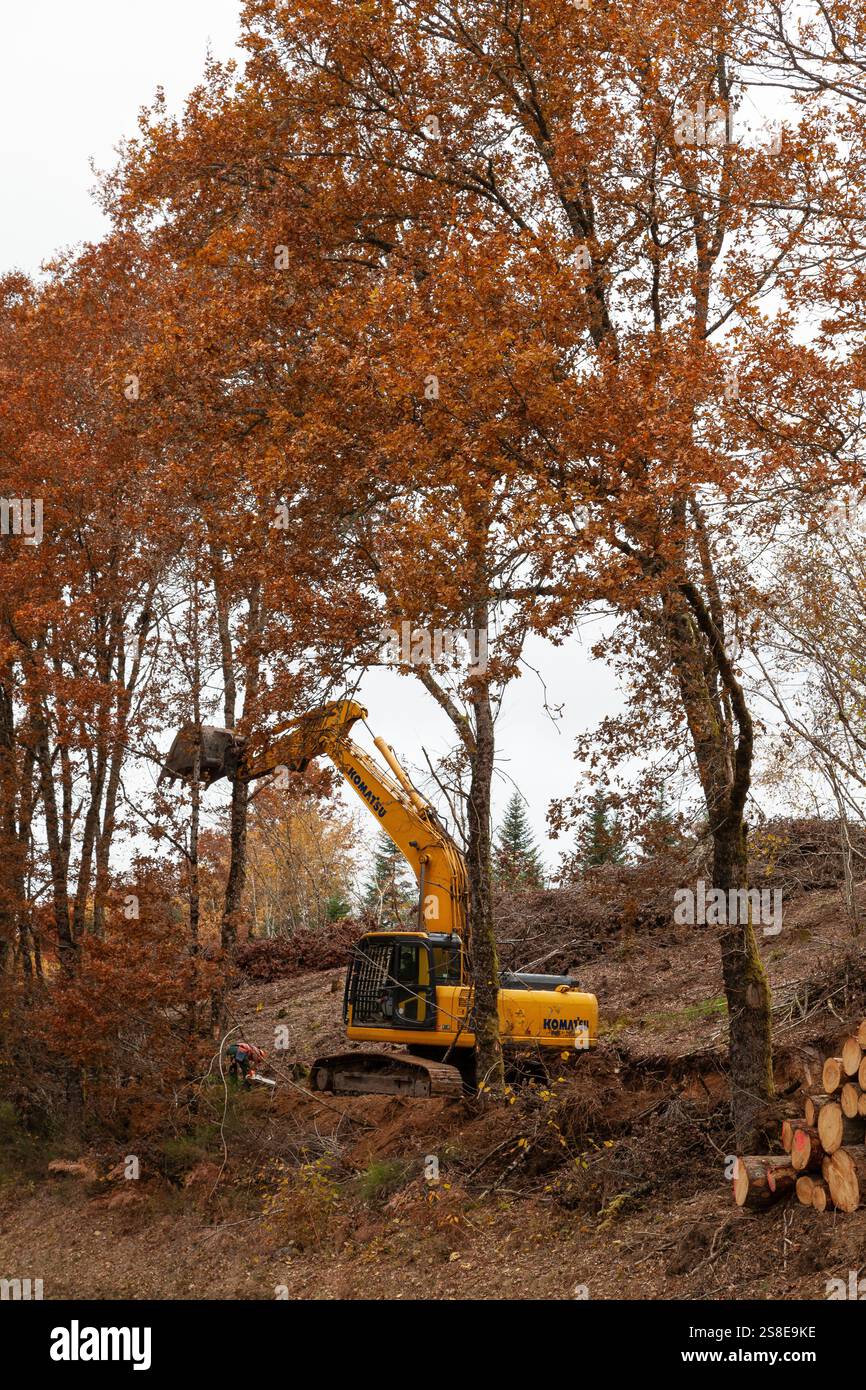 Logging loggers heavy machinery hi-res stock photography and images - Alamy