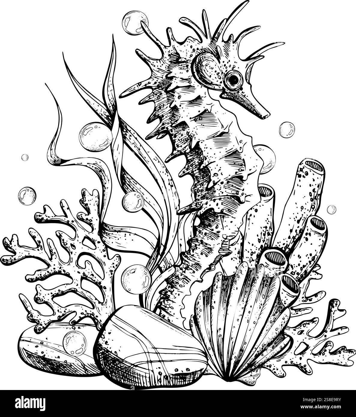 Seahorses coral Black and White Stock Photos & Images - Alamy