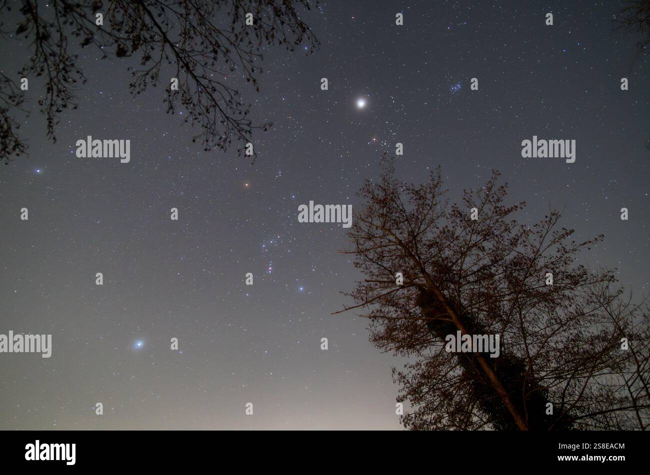 A stunning night sky featuring the Orion and Taurus constellations. The ...