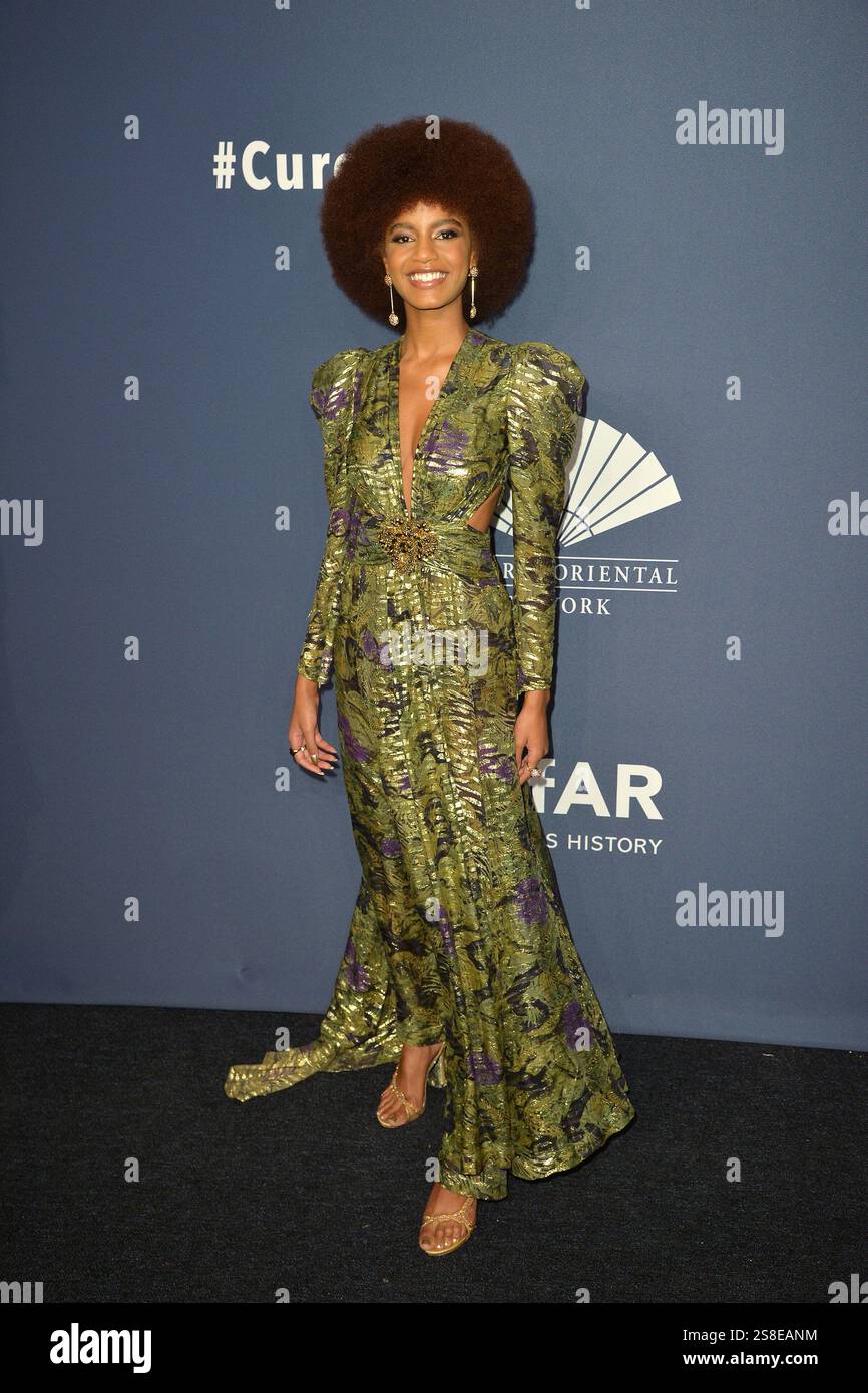 Ebonee Davis attending the 22nd Annual amfAR Gala New York on February ...