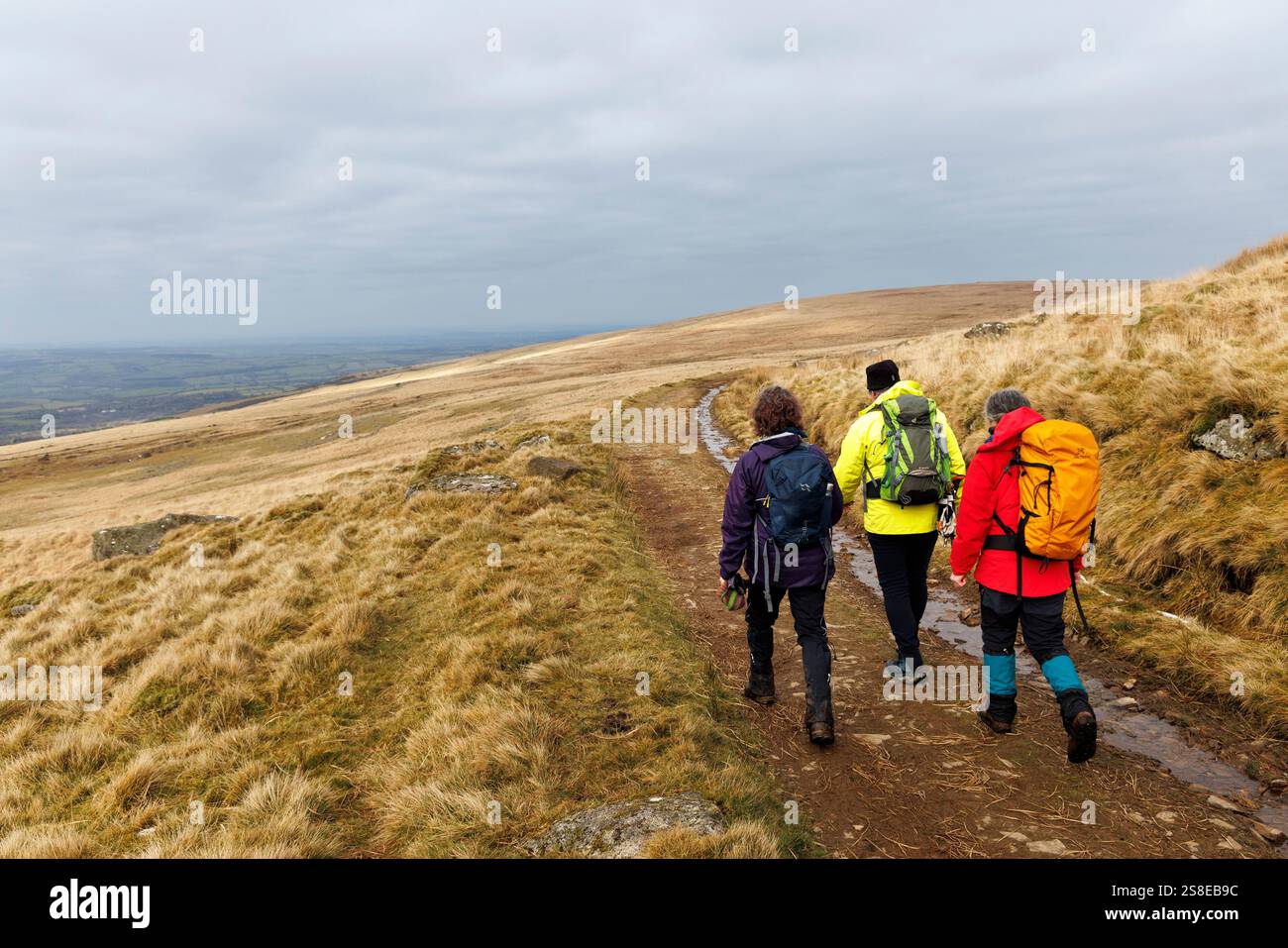 Rattlebrook peat railway hi-res stock photography and images - Alamy