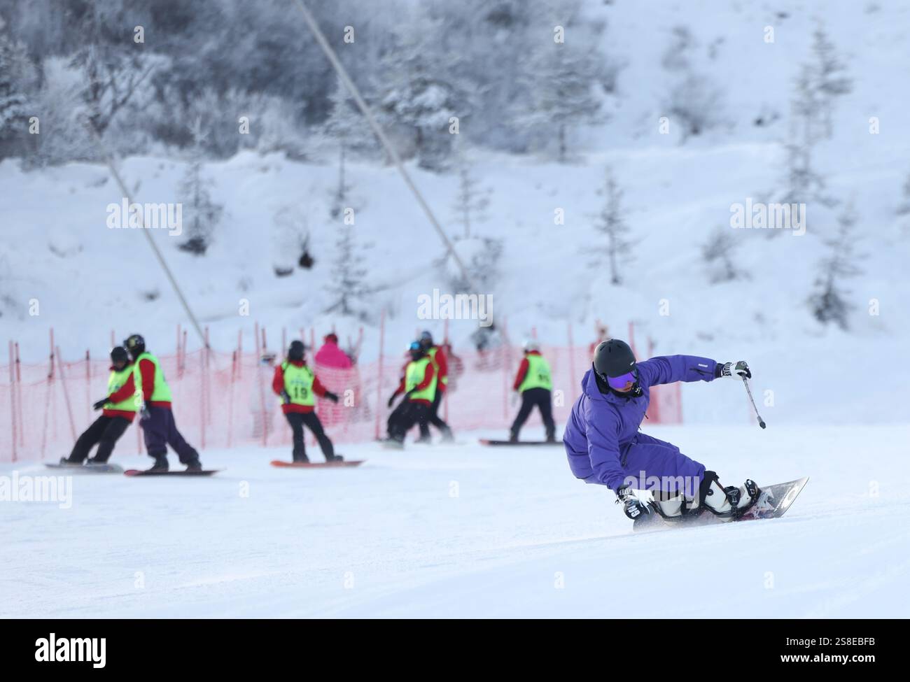 (250122) -- CHENGDU, Jan. 22, 2025 (Xinhua) -- People ski at Taiziling ...