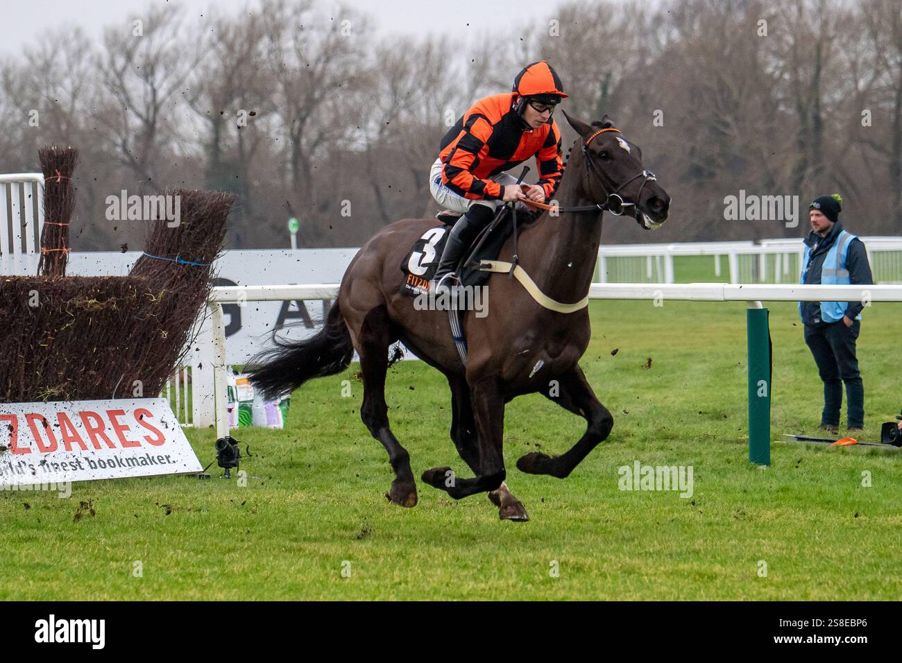 Personal ambition horse hi-res stock photography and images - Alamy