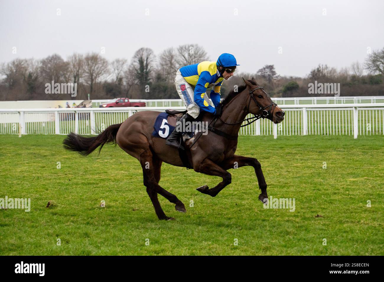 Langer dan cheltenham hi-res stock photography and images - Alamy