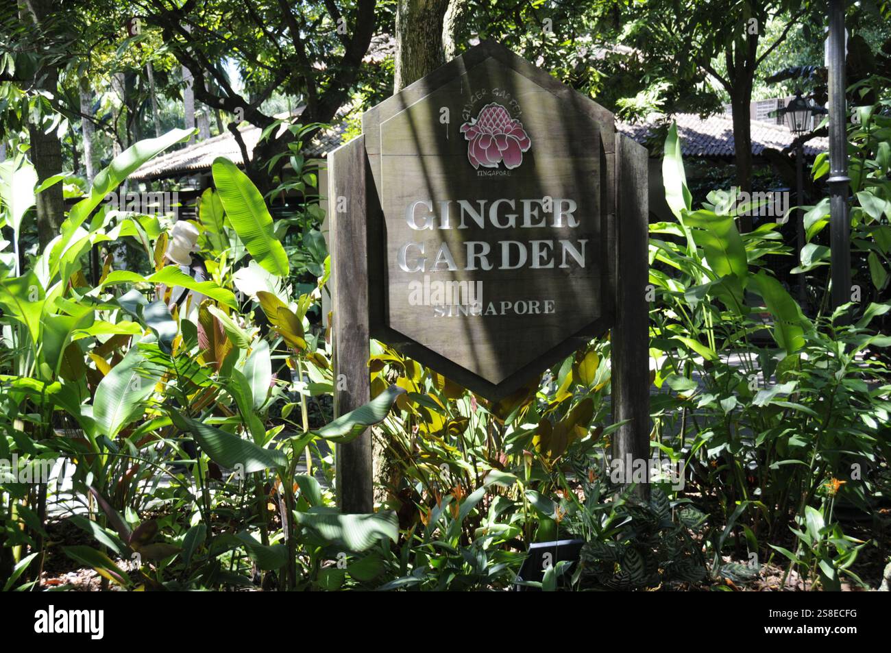 The Ginger garden within the Botanic Gardens of the 165-year-old ...