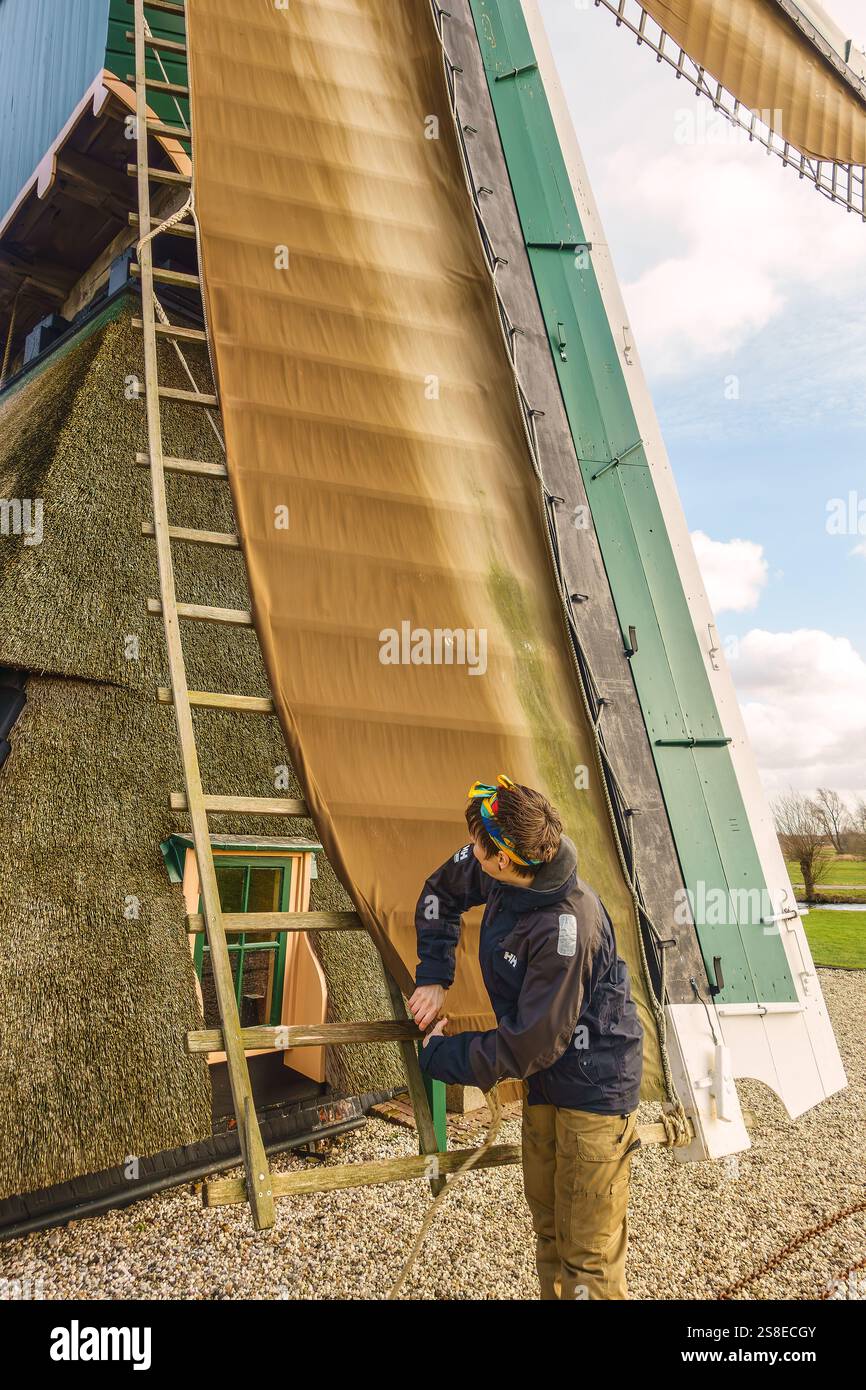 February 5, 2022 - Kockengen, Netherlands: A female miller reefs the ...