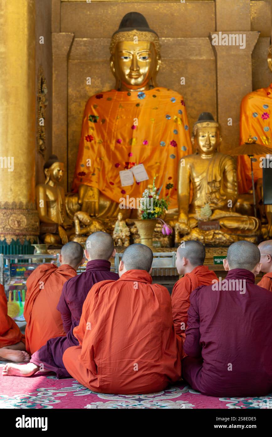 Group of monks praying at Shwedagon pagoda in Yangon, Burma, Myanmar ...