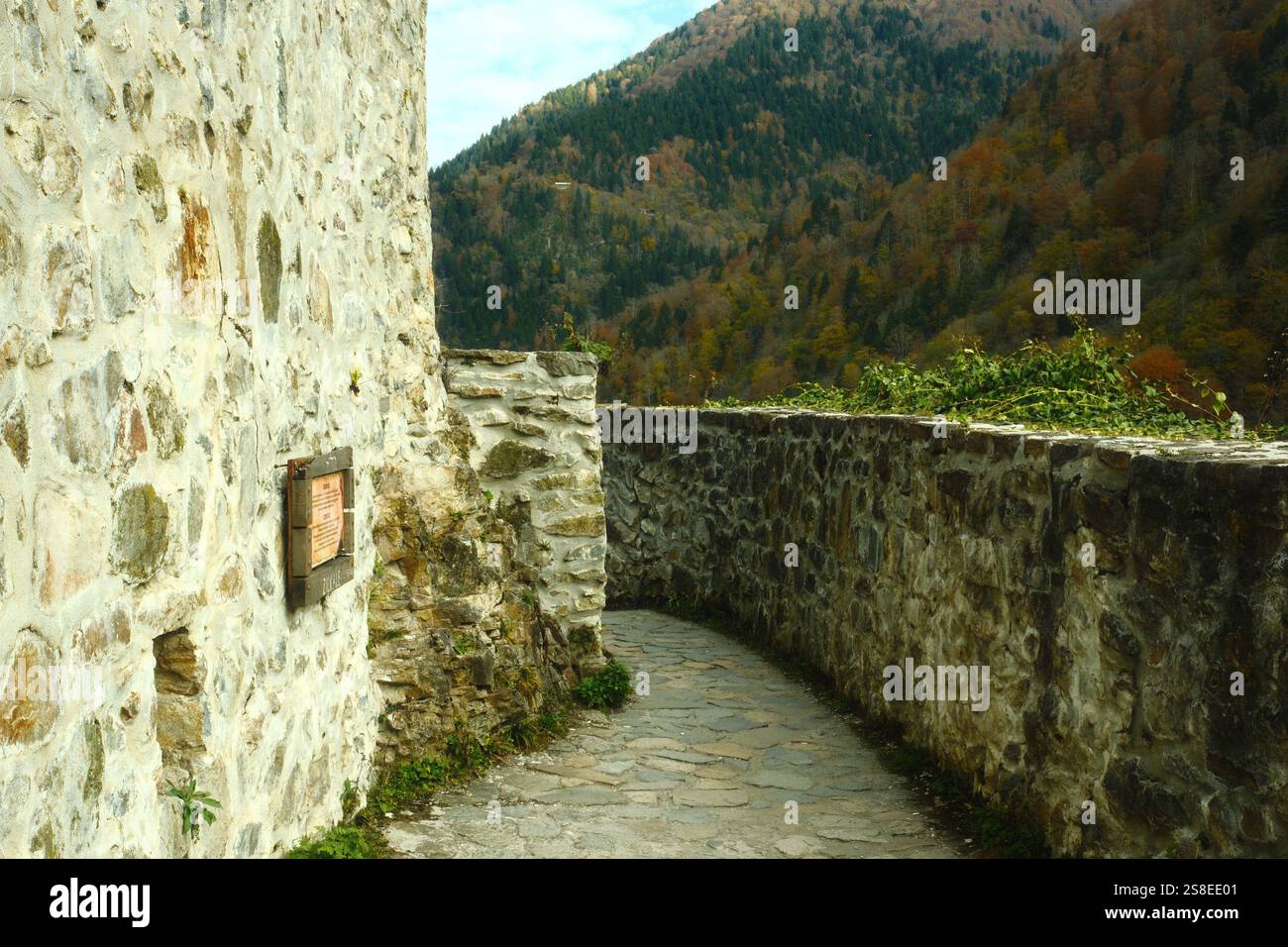 A stone medieval pathway leading to a picturesque view of forested ...