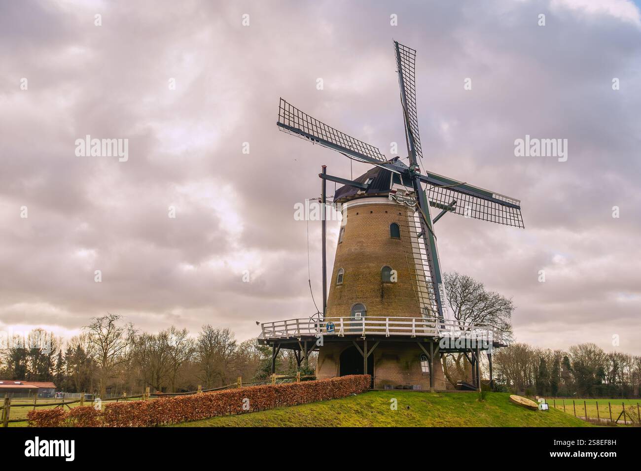 The rebuilt traditional Dutch windmill De Windhond in Soest ...