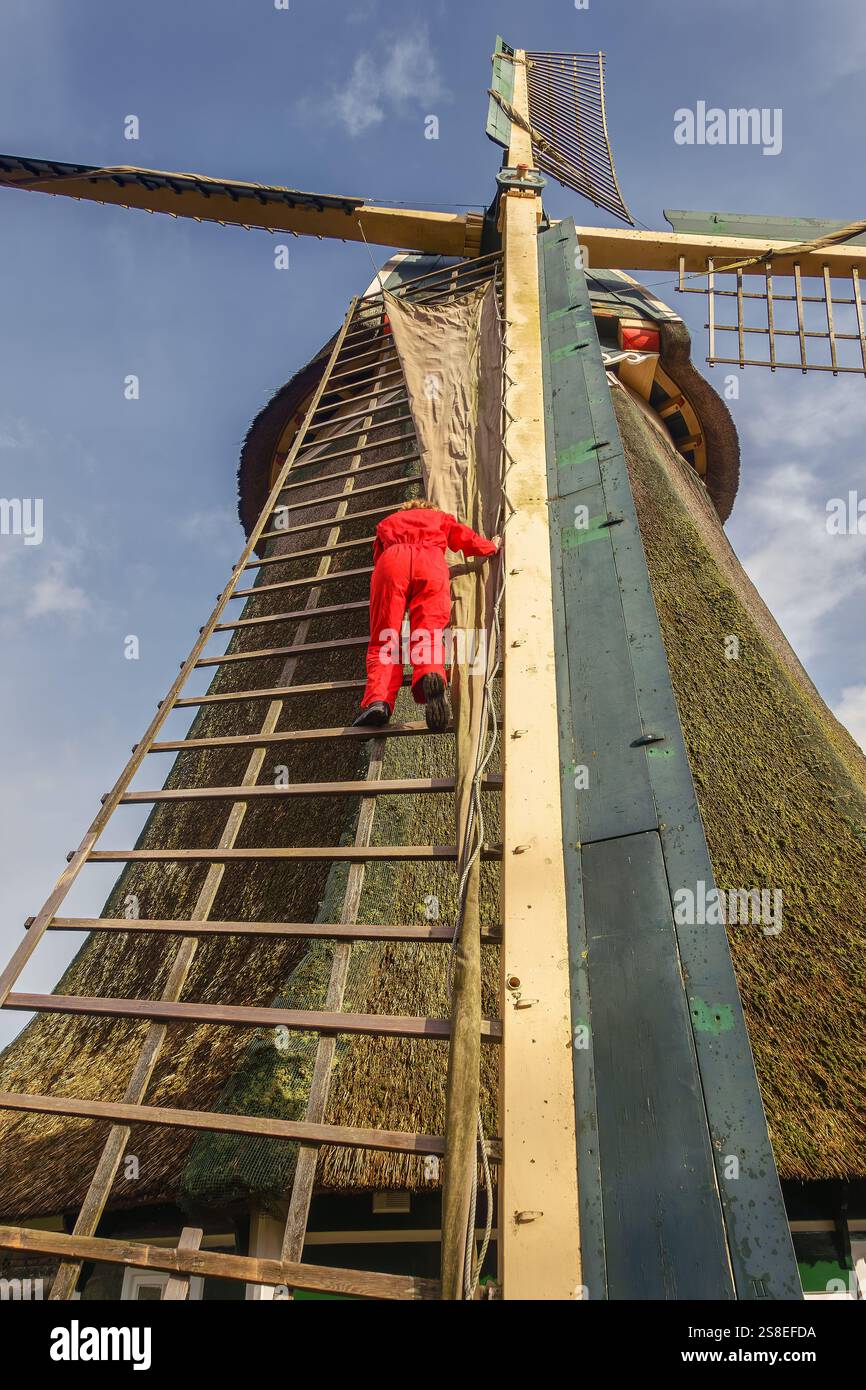 Laren, Netherlands - February 5, 2022: A female miller climbs the ...