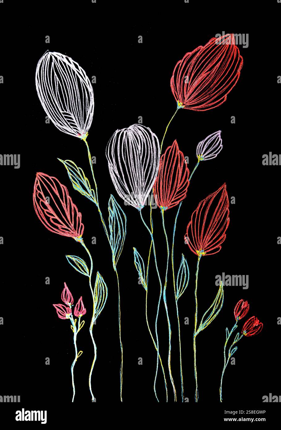 Abstract flowers, drawing with multi colored pen and ink on black paper ...