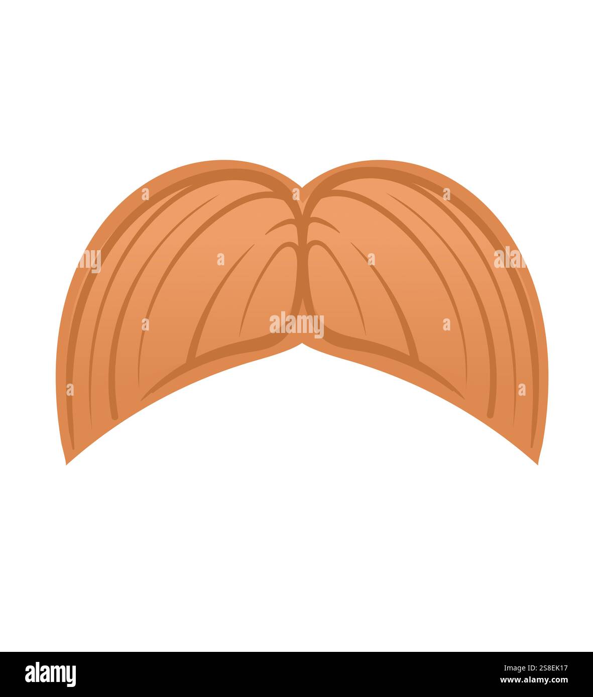 Light brown mustache with soft curves and smooth lines. Ideal for ...