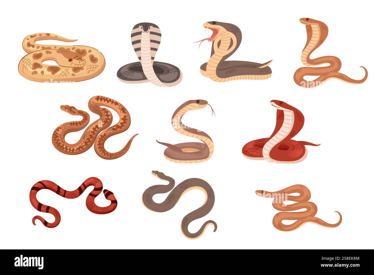 Collection of snakes in different poses and colors, including coiled ...