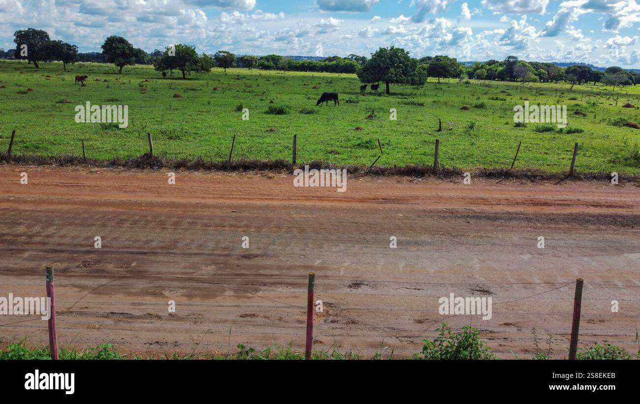 Typical dirtroad on the Brazilian countryside. This is taken in the ...