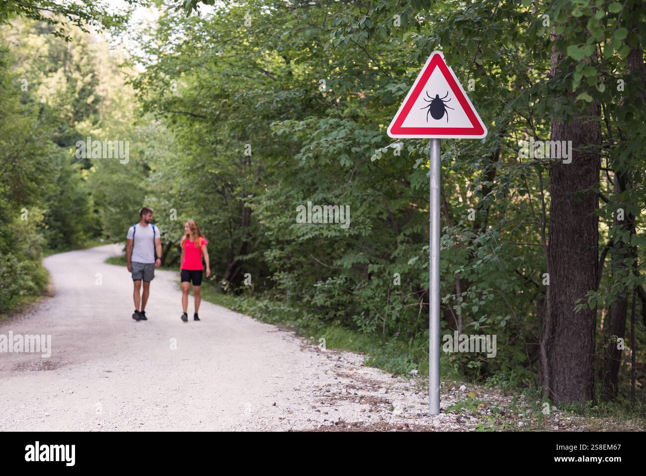 Tick Infected area with danger sign. Risk of tick-borne and lyme ...
