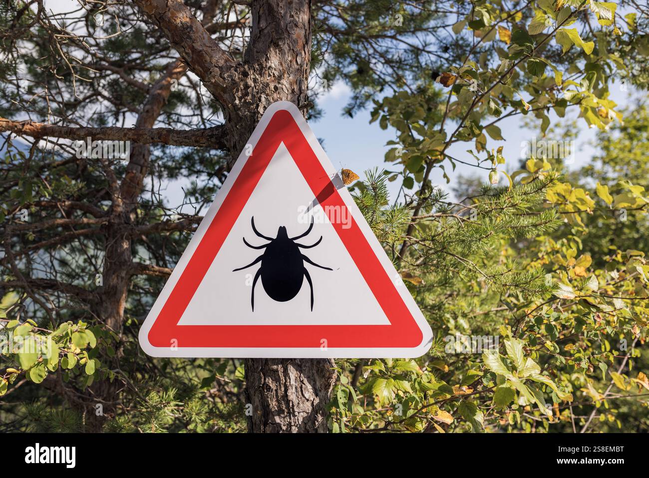 Tick Infected area with danger sign. Risk of tick-borne and lyme ...
