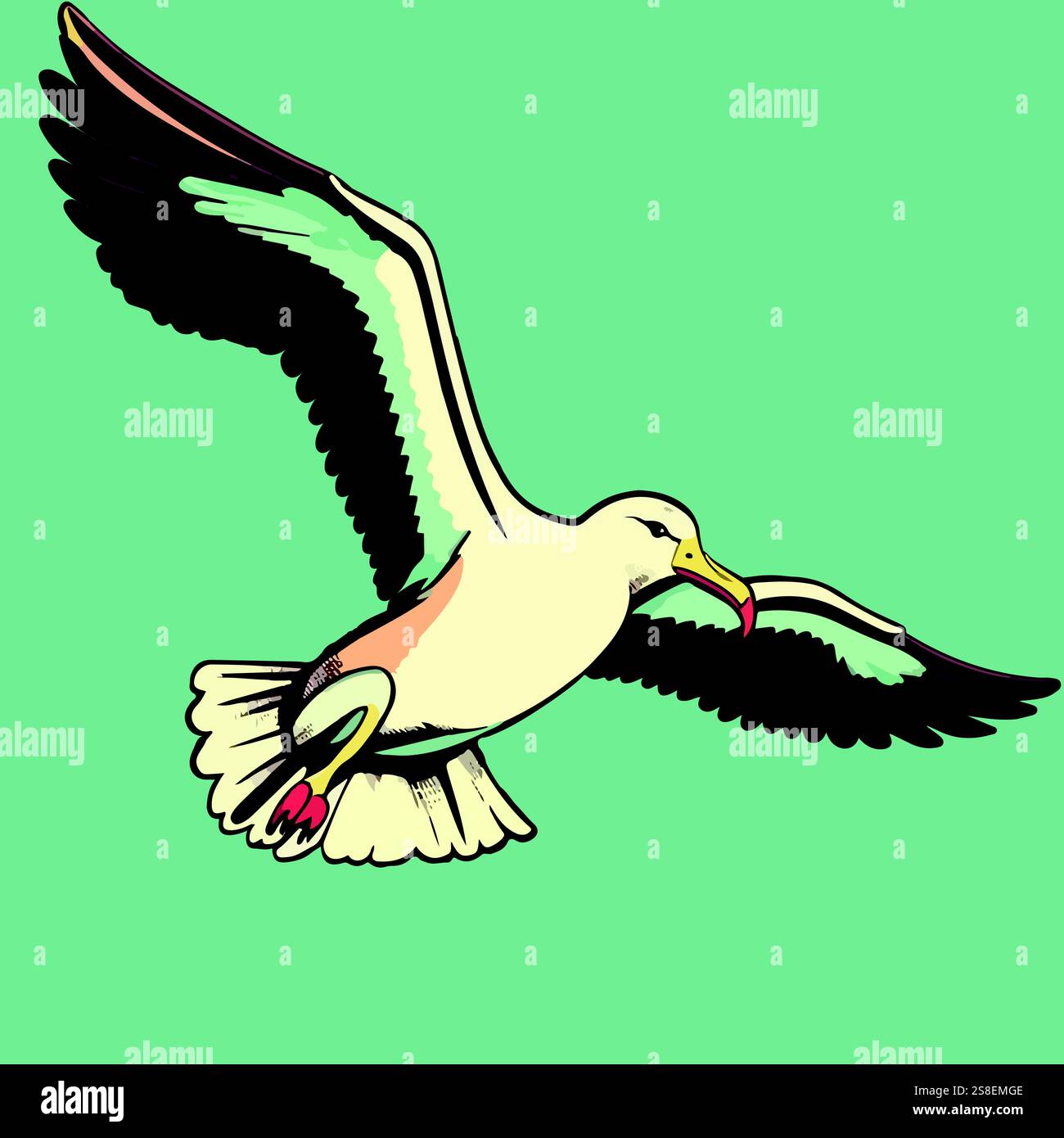 Illustration albatross hi-res stock photography and images - Alamy