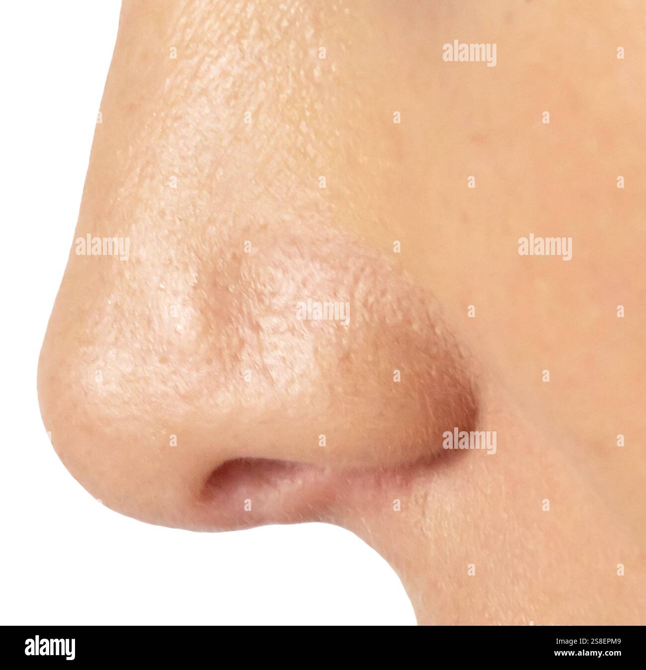 Nose isolated on white background Stock Photo - Alamy