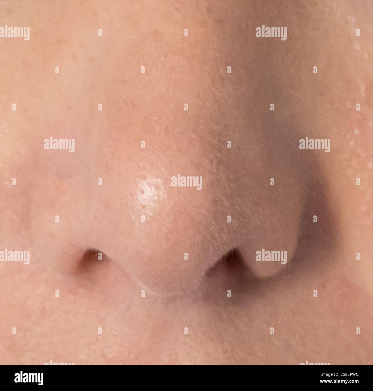 Human nose hi-res stock photography and images - Alamy