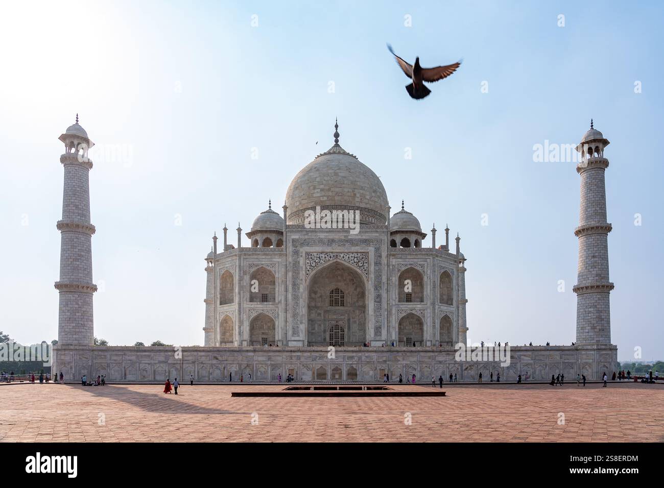 India. Uttar Pradesh state. Agra. Taj Mahal. A bird's flight in a blue ...